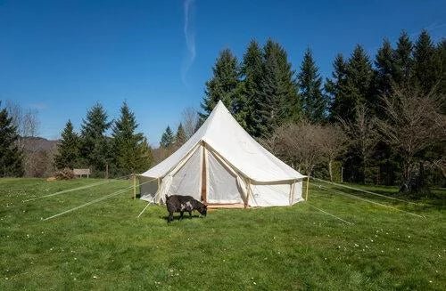 The Best Forest School Tent For Outdoor Learning - Life inTents